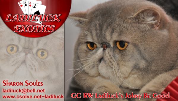 Breeders - Canadian Cat Association - L'Association féline Canadienne